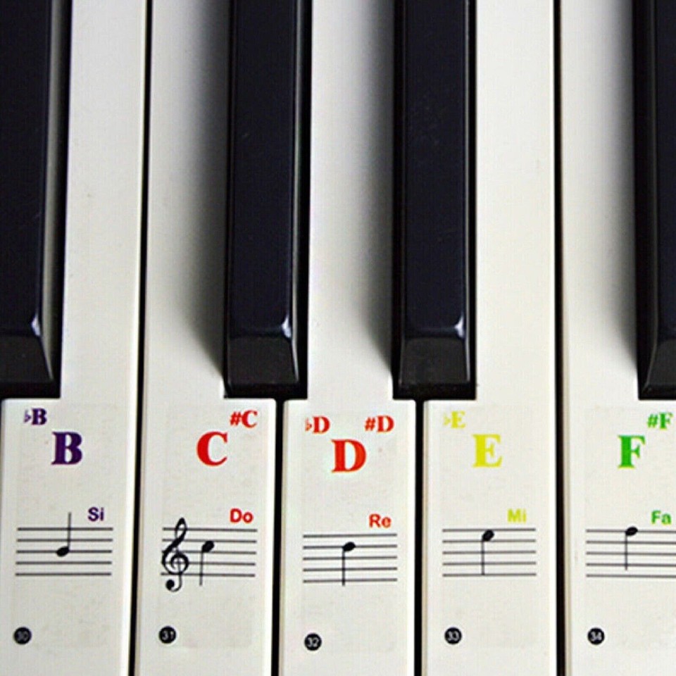 15.5 x40MM Piano Learning Music Keyboard Sticker 37/49/61/88 Key Note ...