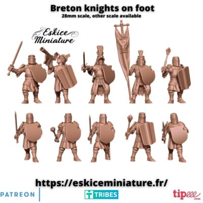 x10 Breton Knights - 28mm- Bolt Action / Chain of Command / Wargaming ...