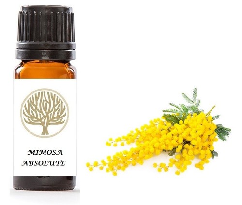 100% Pure Mimosa Absolute Oil | eBay