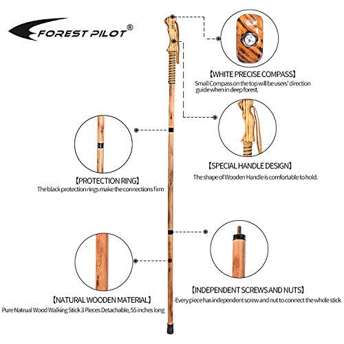 FOREST PILOT 3-pc Detachable Hardwood Walking Stick Pine Handle with ...