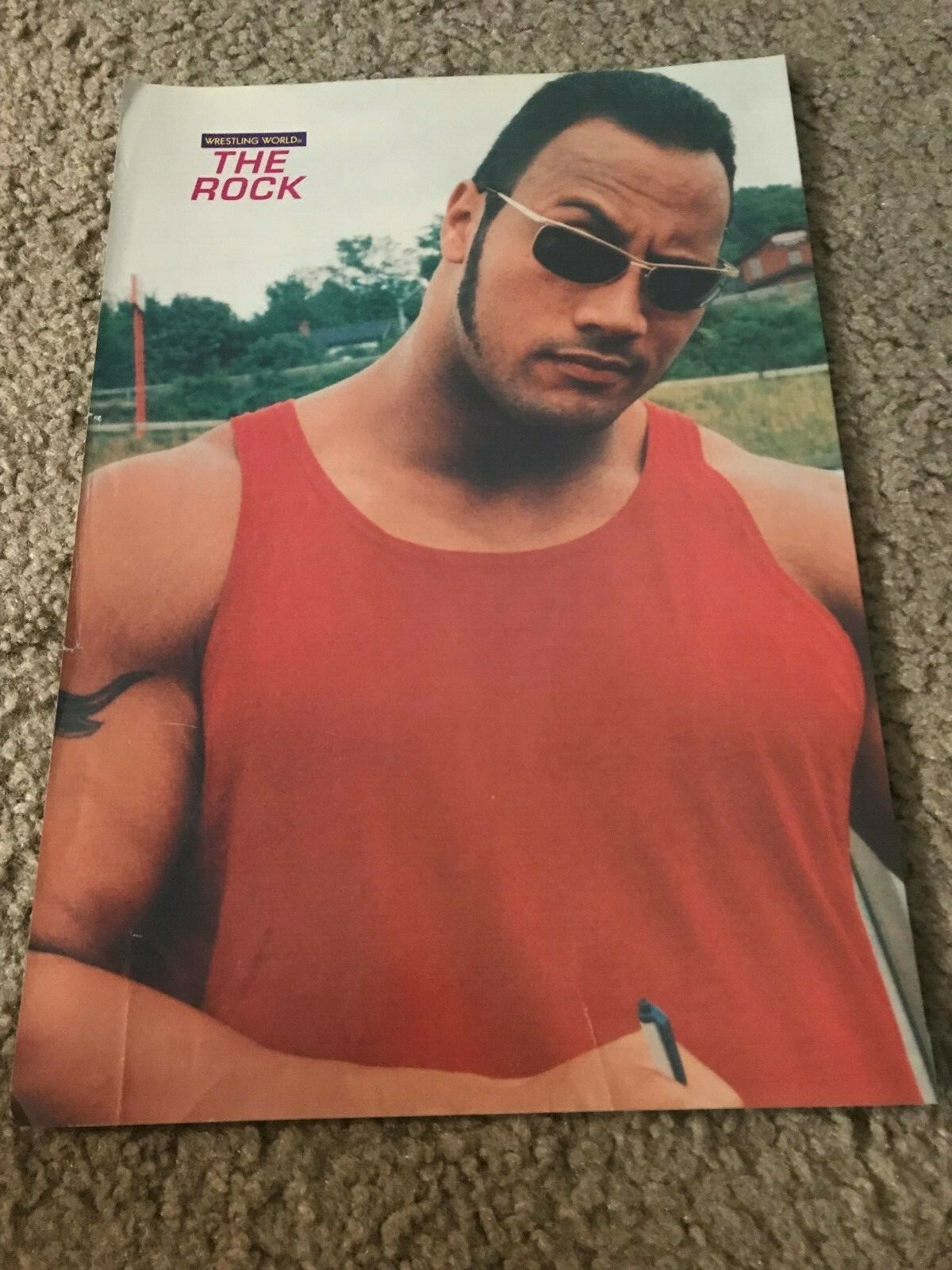 The Rock Wwf 1999