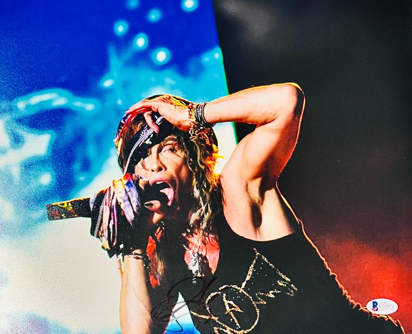 Steven Tyler Autographed Memorabilia | Signed Photo, Jersey ...