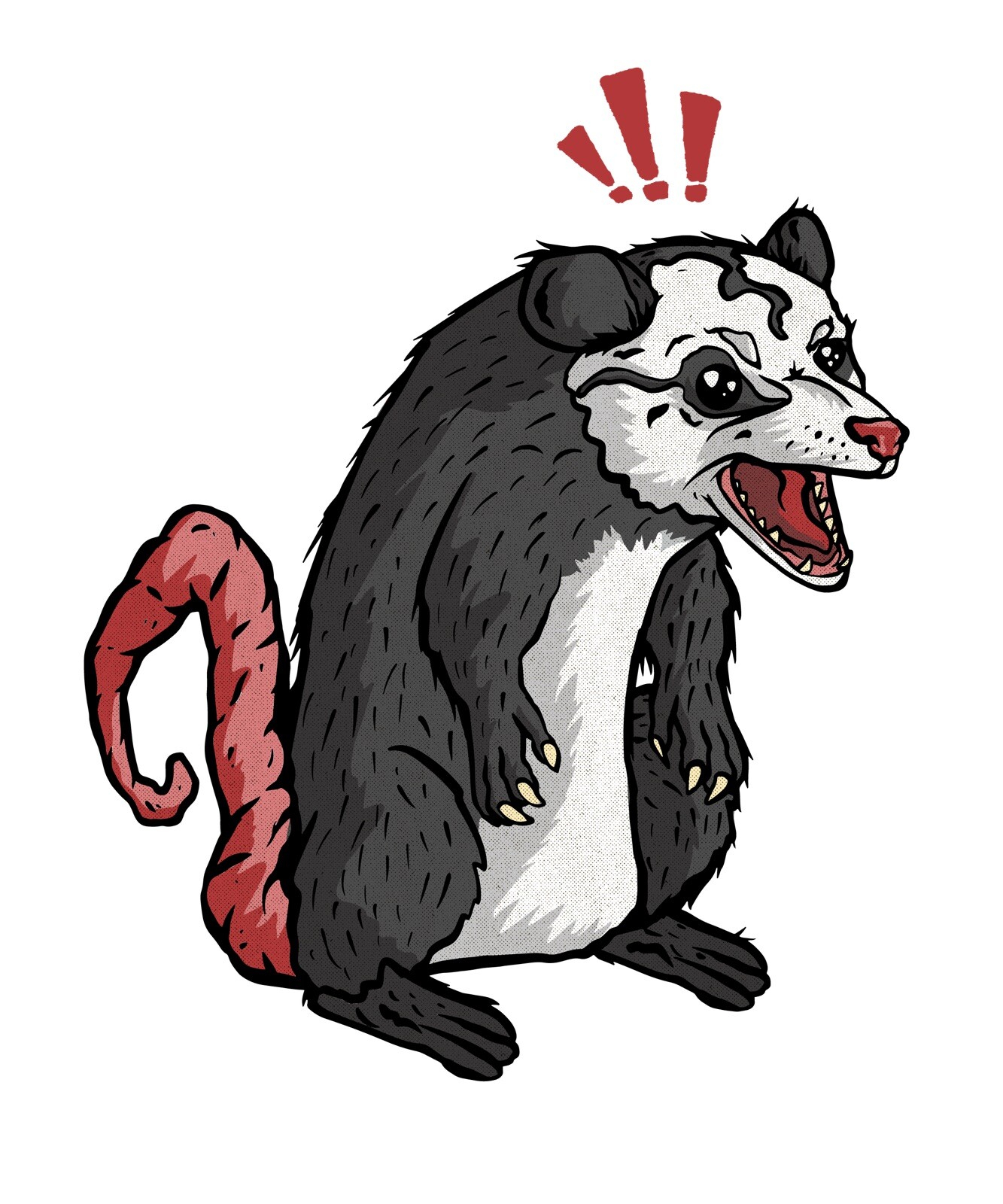 Angry Possum