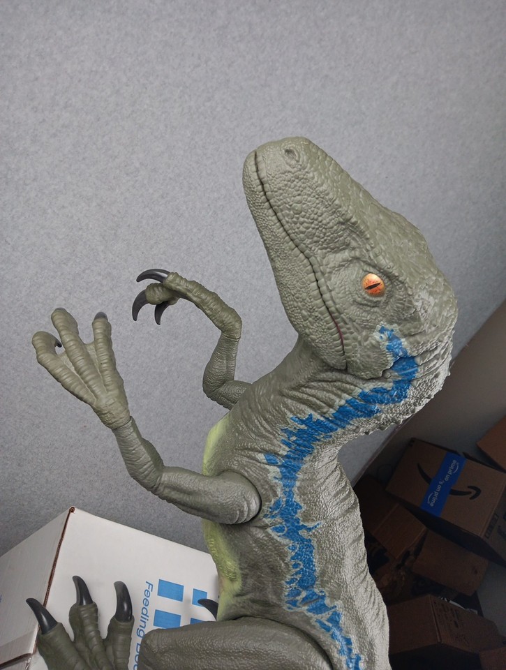 Jurassic World Super Colossal Velociraptor Raptor Blue Action Figure ...