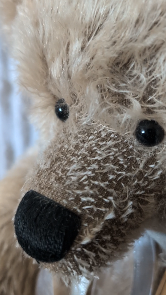 Robin Rive mohair bear with growler #33 of 100 Magnus Millenium 22 ...