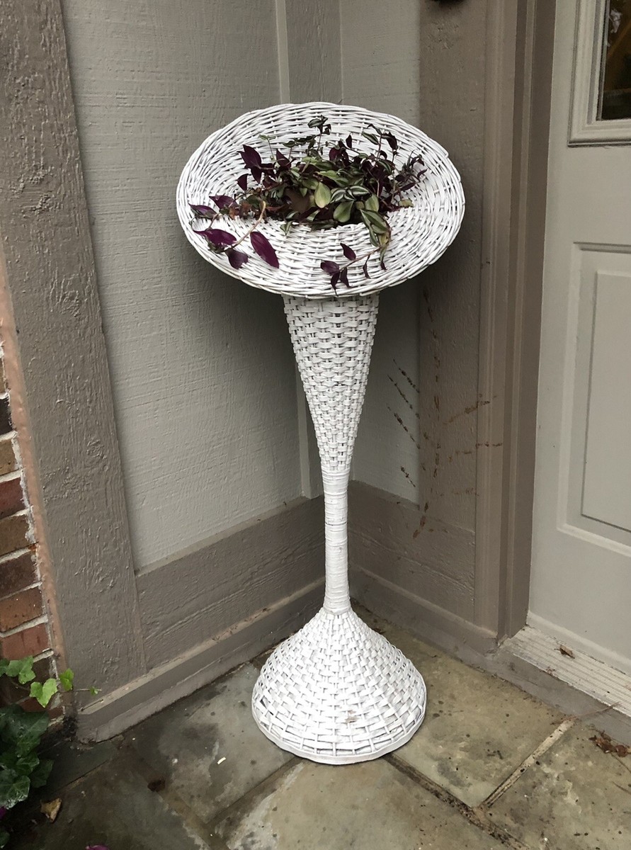 White Wicker Flower Stand Rye Green & White Plant Stand | Adairs