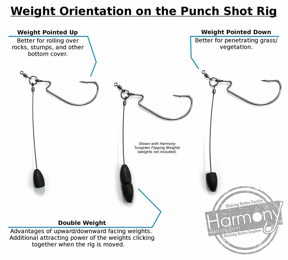 Harmony Fishing Company Punch Shot Rig Kit (10 Pack, 4/0 EWG Hooks ...