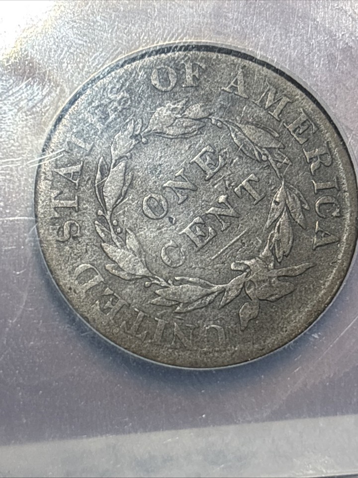 1825 Large Cent N-6 Jules Reiver Collection Triple Profile Sold For$184 ...