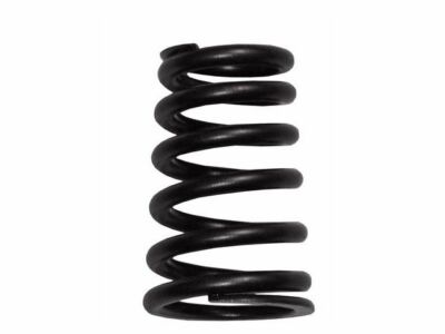 Valve Spring For 1995-1999 BMW M3 1996 1997 1998 Q284ZC Valve Spring | eBay