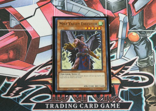 YuGiOh Mist Valley Executor HAC1-EN060 1st Edition Common | eBay