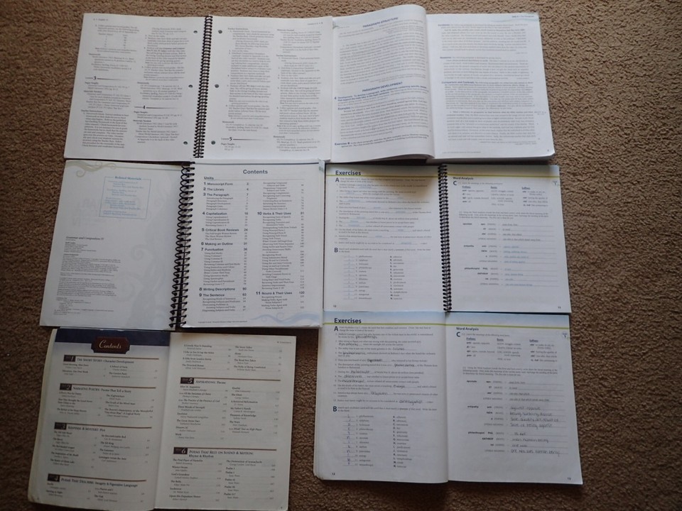 Abeka 10th Grade Curriculum Lot of 28 Teacher & Student Books Like New ...