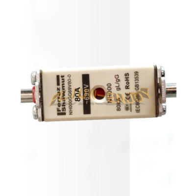 NEW 1PCS Fuse 80A 690V NH000GG69V80 #D7 | eBay
