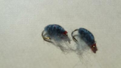 1 DOZ DF-6 FLASHBACK SCUD (SELECT COLOR & SIZE) NYMPH | eBay