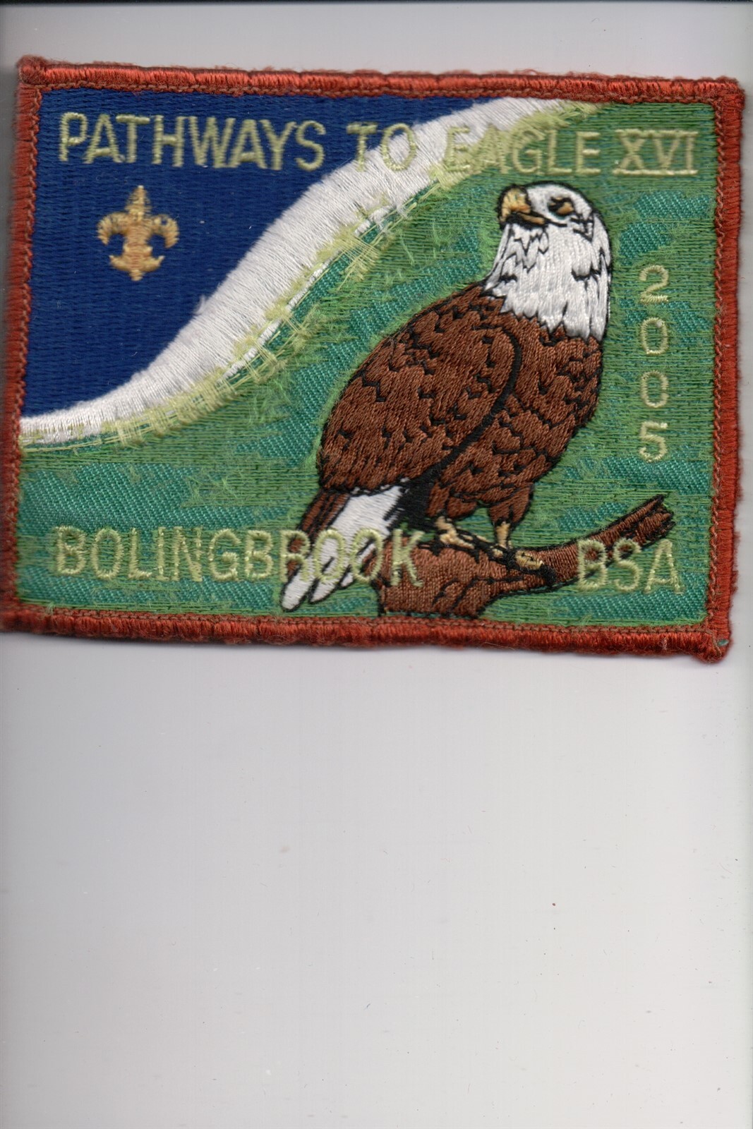 2005 Bolingbrook Pathways To Eagle patch | eBay