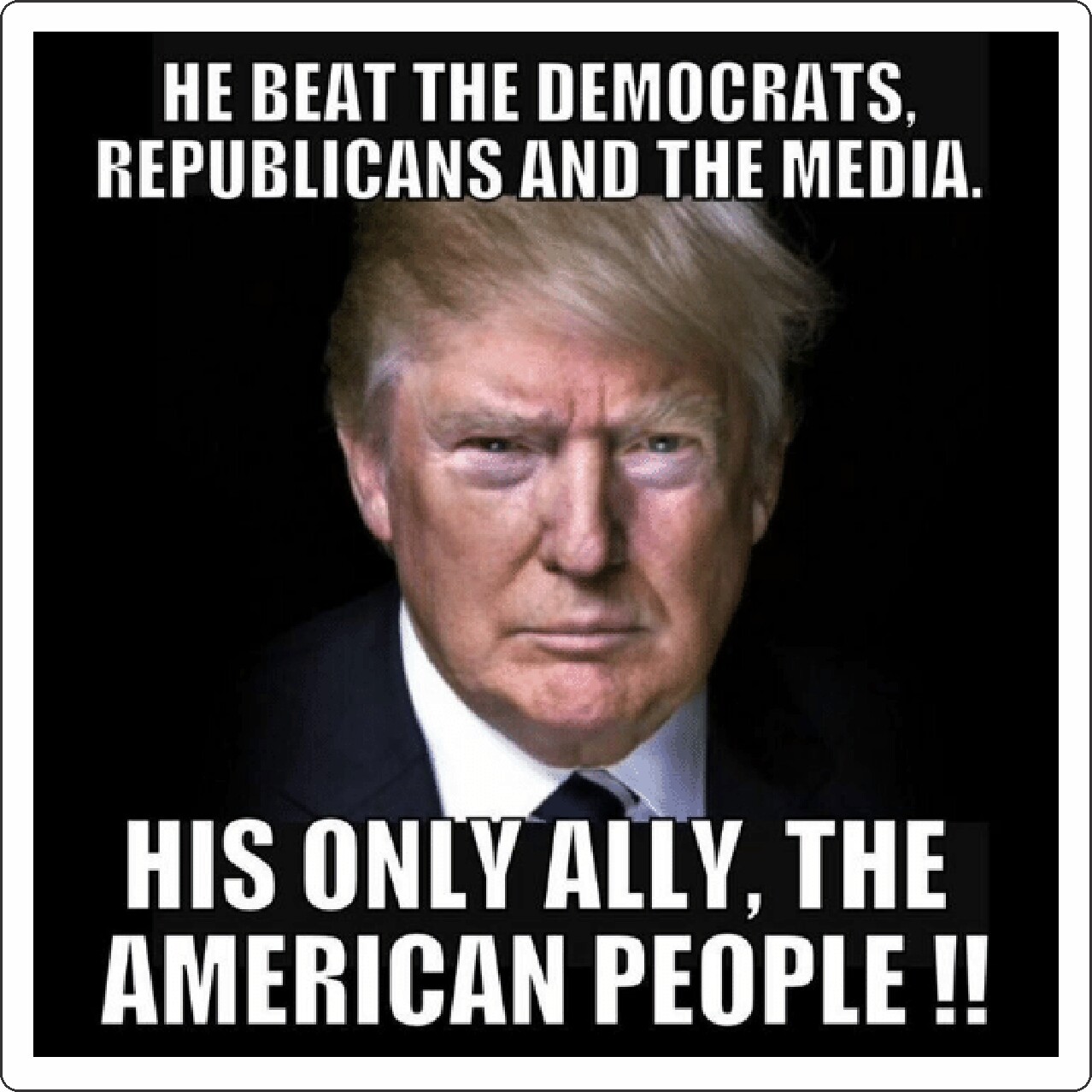 TRUMP FAKE NEWS ANTI DEMOCRAT MAGA DECAL STICKER POLITICAL SWAMP MAGA ...