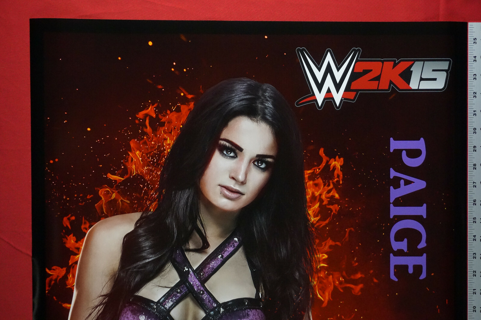 Paige Female Wrestler W2K15 WWE Wrestling Photo Picture Poster 24X36 ...