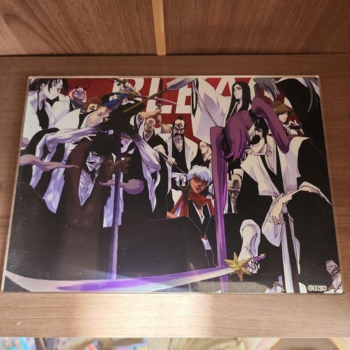 Bleach Acrylic Art Gotei 13 Corps Foil 1st Gen Excellent | eBay