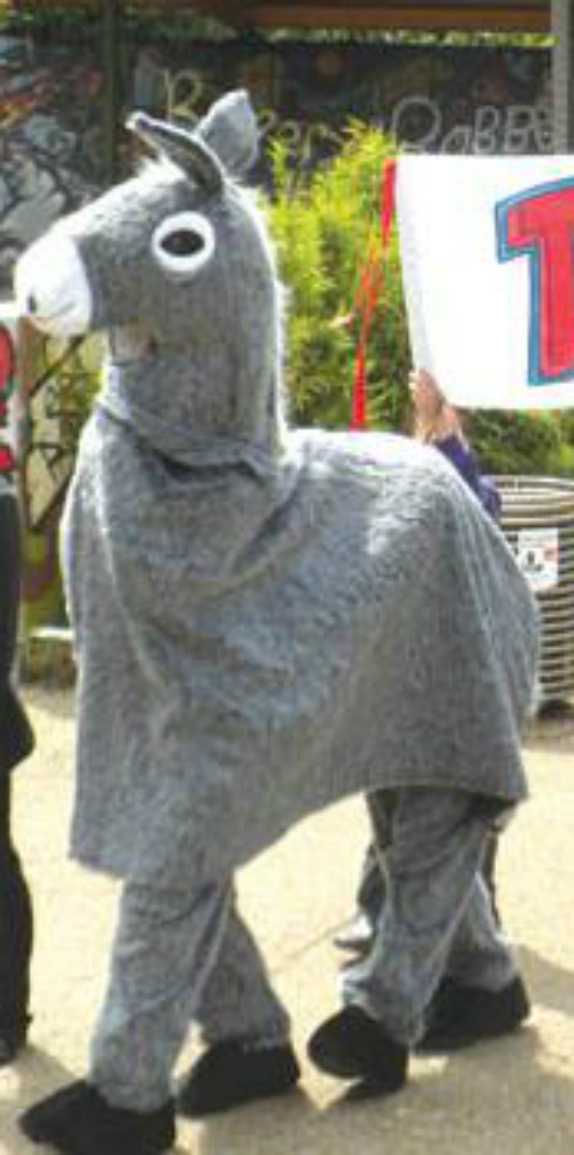 Donkey Costumes