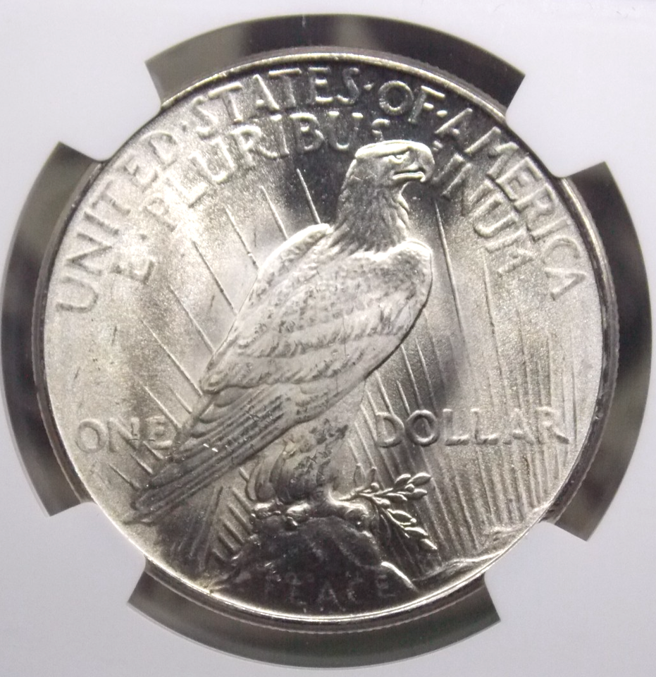 1924 "P" Peace SILVER Dollar $1 NGC MS64 #044 Unc BU Uncirculated ECC&C ...
