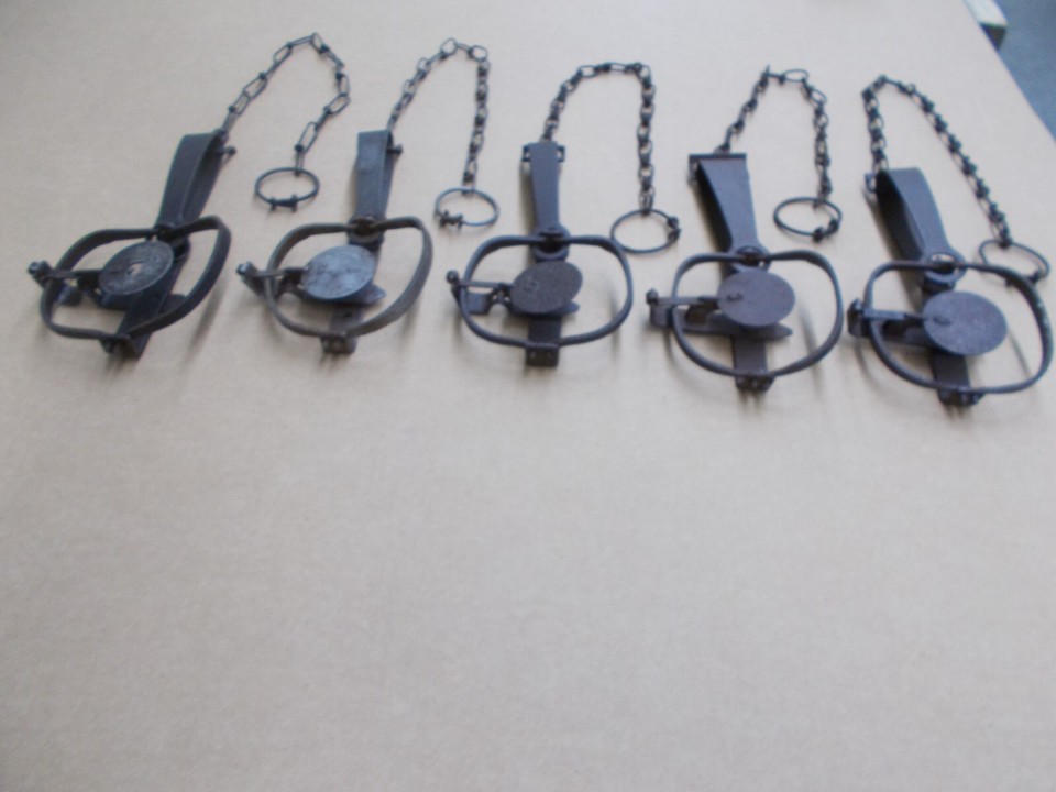 5 Vintage No.1 Single Long Spring traps, 4B&L and 1 Champion all with ...