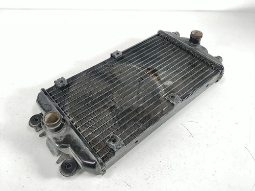 15 Harley Davidson XG500 Street 500 Radiator | eBay
