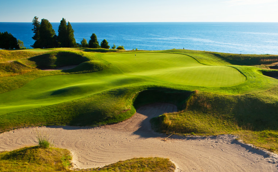 007 Creeping Bentgrass Seed 80,000 seeds | eBay