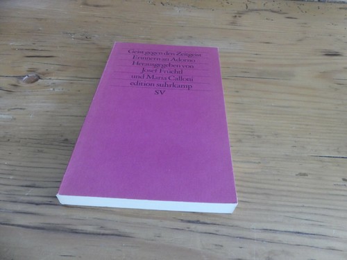 Geist gegen Zeitgeist. Erinnern an Adorno - Josef Früchtl, Maria ...
