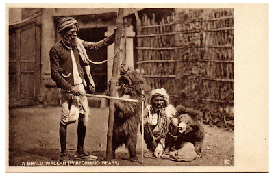 1910s "A Bhalu Wallah" India Men with Performing Bears Postcard | eBay