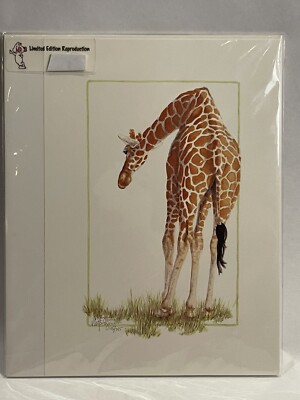Giraffe, hand Signed By Wildlife Artist Vicki M. Ferguson Art Print ...