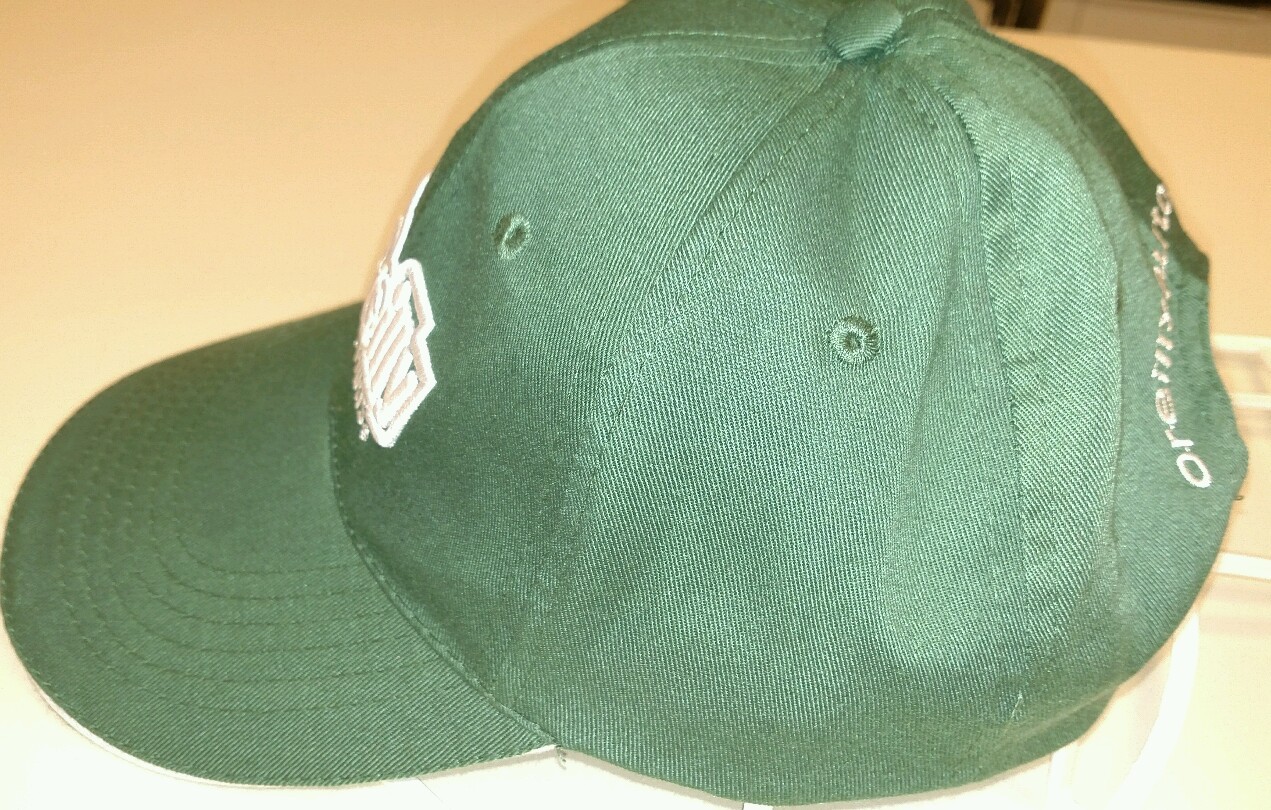 O'REILLY AUTO PARTS Cars Automotive Green Hat Baseball Cap Unique Rare ...