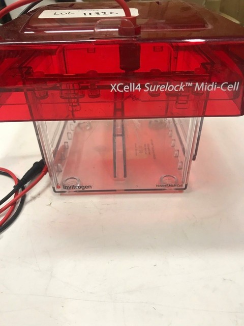 Invitrogen Xcell4 Surelock Midi-cell Xcell 4 Electrophoresis System for ...