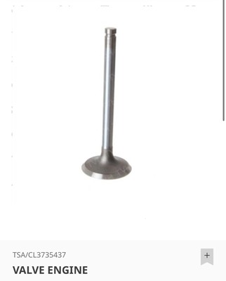 CLARK FORKLIFT INTAKE VALVE SET (4PCS) 3735437 (NEW) | eBay