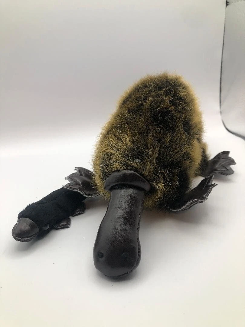 Duckbill Platypus Baby