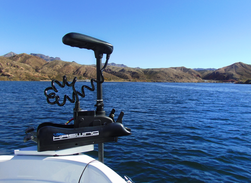 Haswing Cayman White 12V 55LB 54" Shaft TROLLING MOTOR Fishing (Remote ...