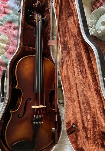 Used instrument Viola Great Condition Lightly Used In Professional ...