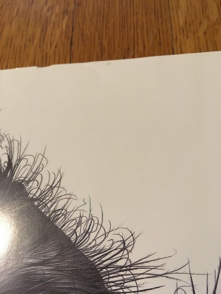 David Higgins Emu Illustration Art Poster 27x20 1985 Whimsical | eBay