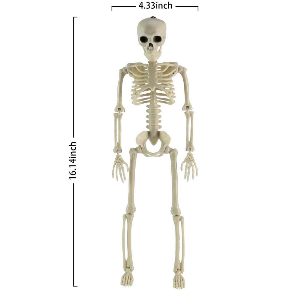 16 inch Halloween Skeleton Oversized Poseable Human Full Life Size ...