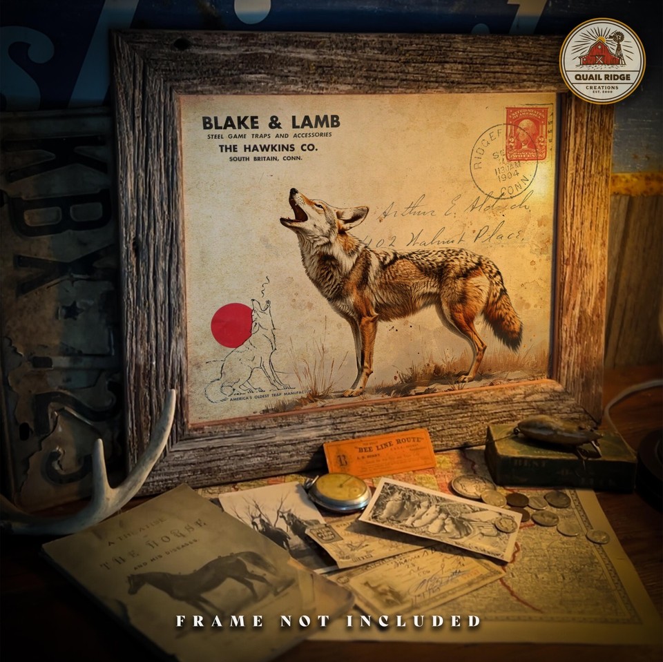 Vintage Fur Trapping Catalog Art Print Coyote Trapping Hunting Cabin ...