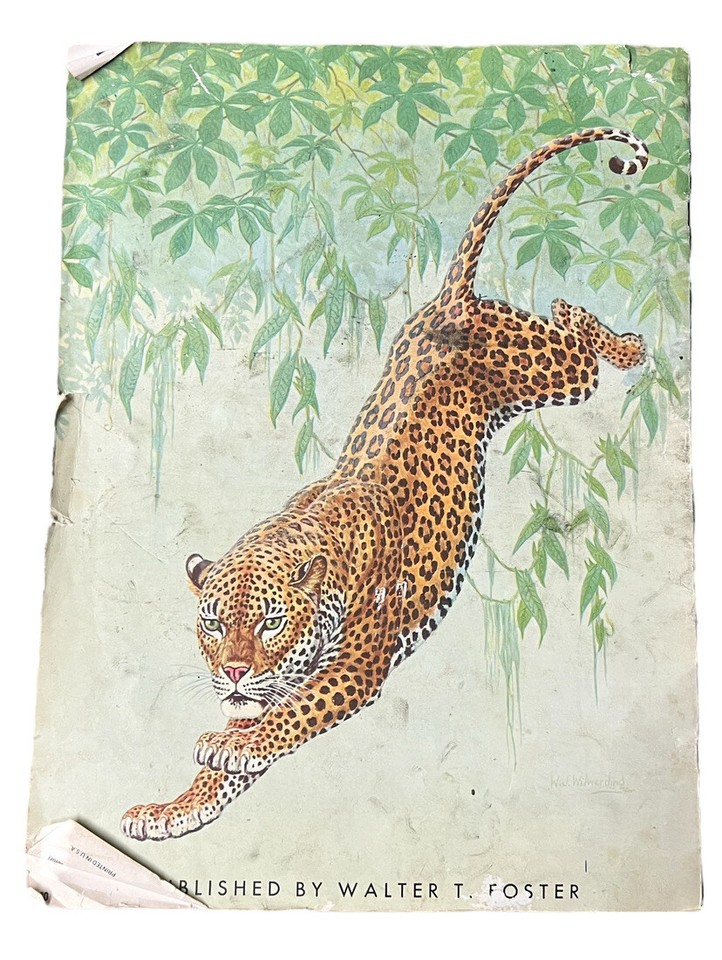 The Cats In Action by Walter J. Wilwerding. Published by Walter T ...