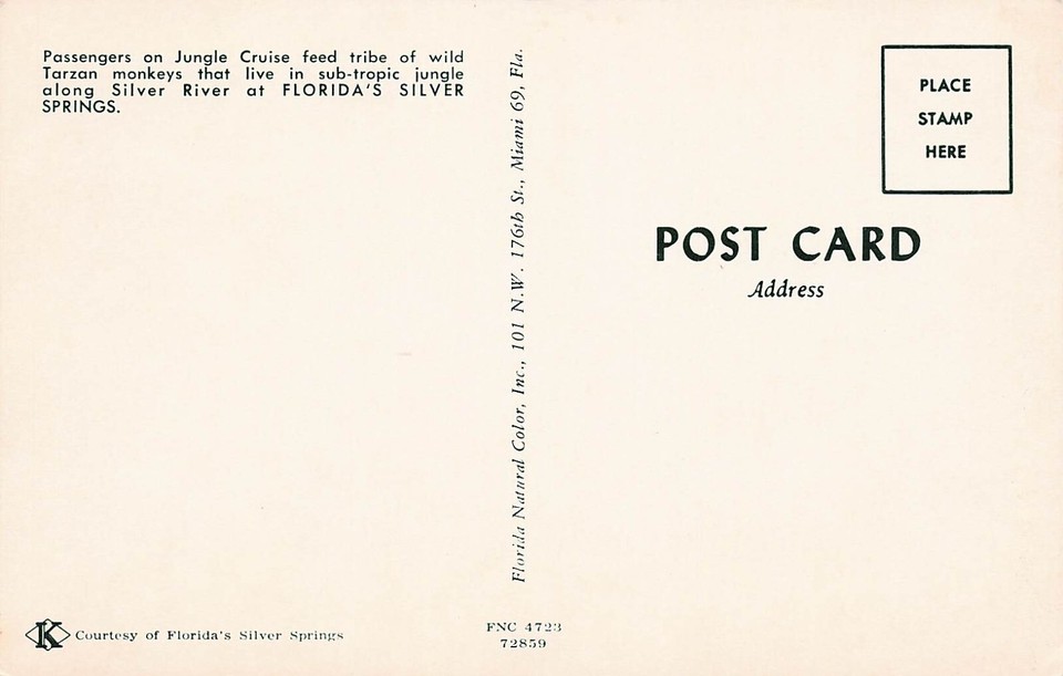 Silver Springs Jungle Cruise Silver River Tarzan Monkey Florida Vtg ...