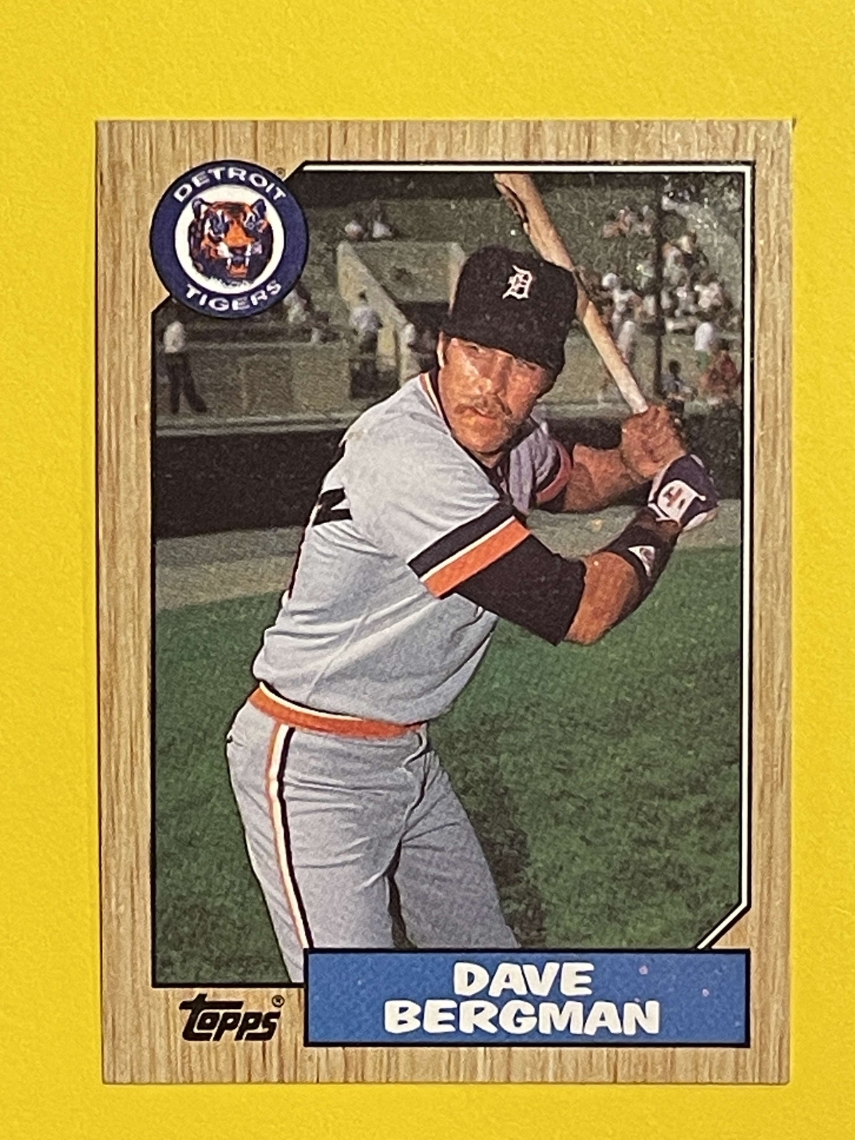 Dave Bergman 1987 Topps Base #700 Detroit Tigers | eBay