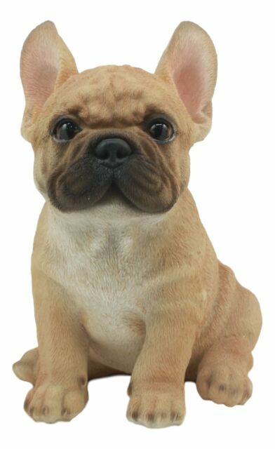 Realistic Lifelike French Bulldog Puppy Frenchie Figurine Made out of ...