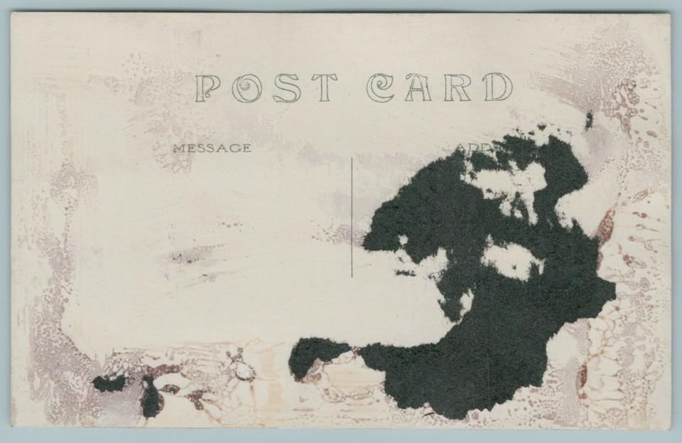 Faribault MN Battlement Tower Pops Up Tween Trees~Feeble-Minded School ...