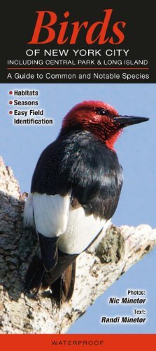 BIRDS OF NEW YORK CITY, INCL. CENTRAL PARK & LONG ISLAND: By Randi ...