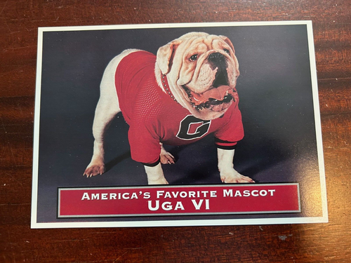 Georgia Bulldogs Mascot Uga VI" Glossy Print 5" x 7" | eBay