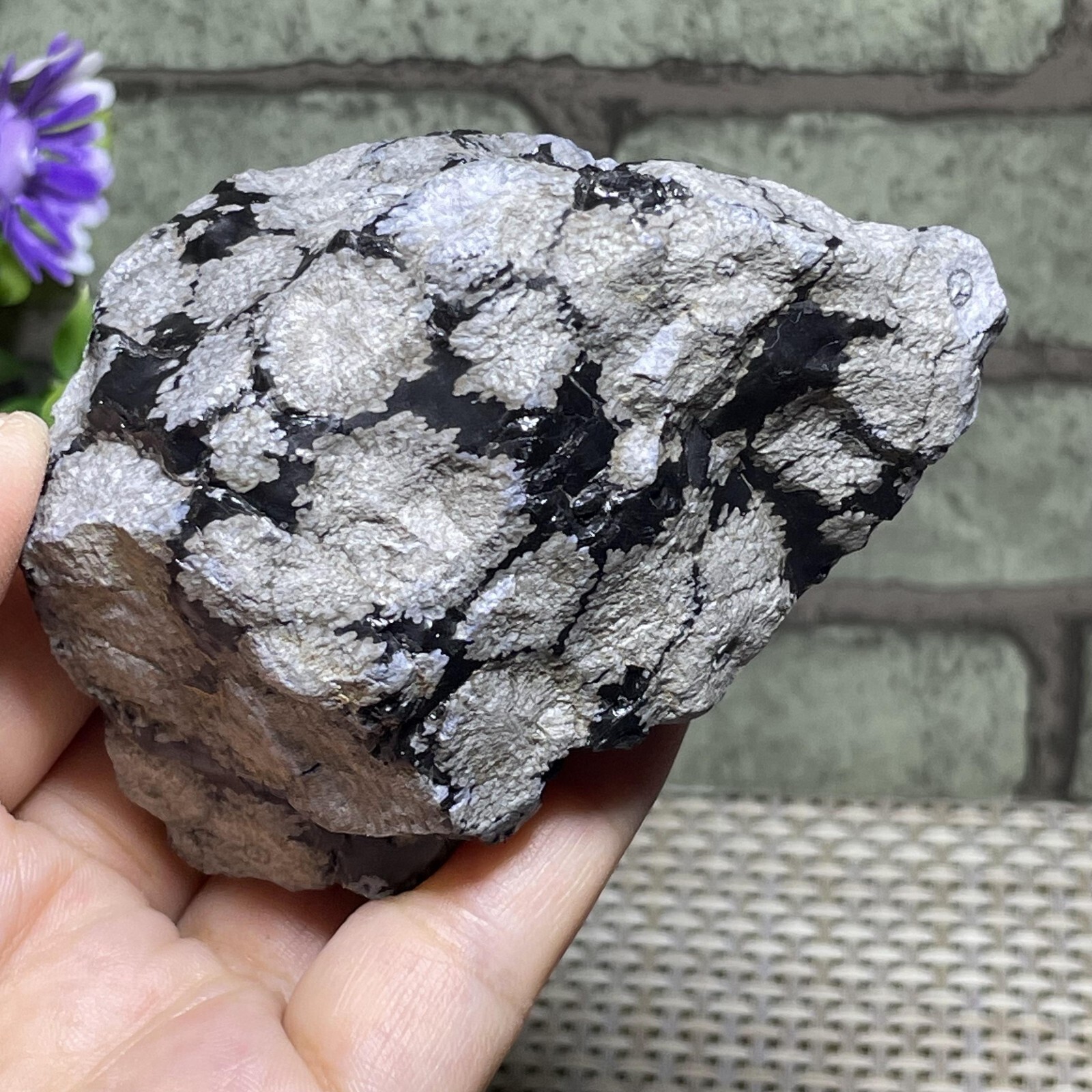 200g Natural Alabaster Snowflake Obsidian raw stone rough Unprocessed ...
