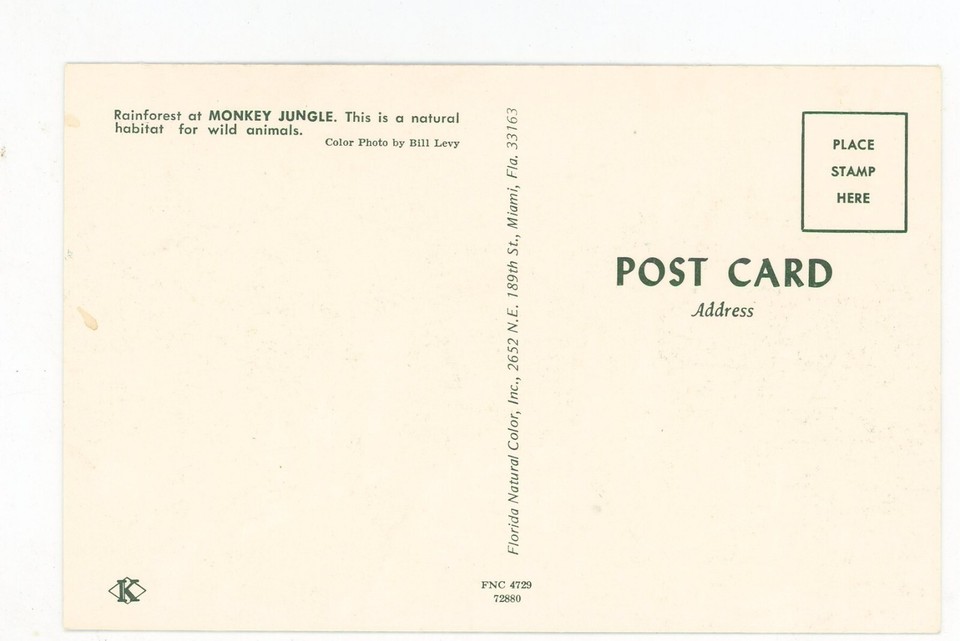 Vintage Postcard Animals Primates Rainforest Monkey Jungle Maimi ...