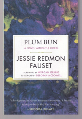 PLUM PUN: A NOVEL WITHOUT A MORAL By Jessie Redmon Fauset (2022 TPB){P3 ...