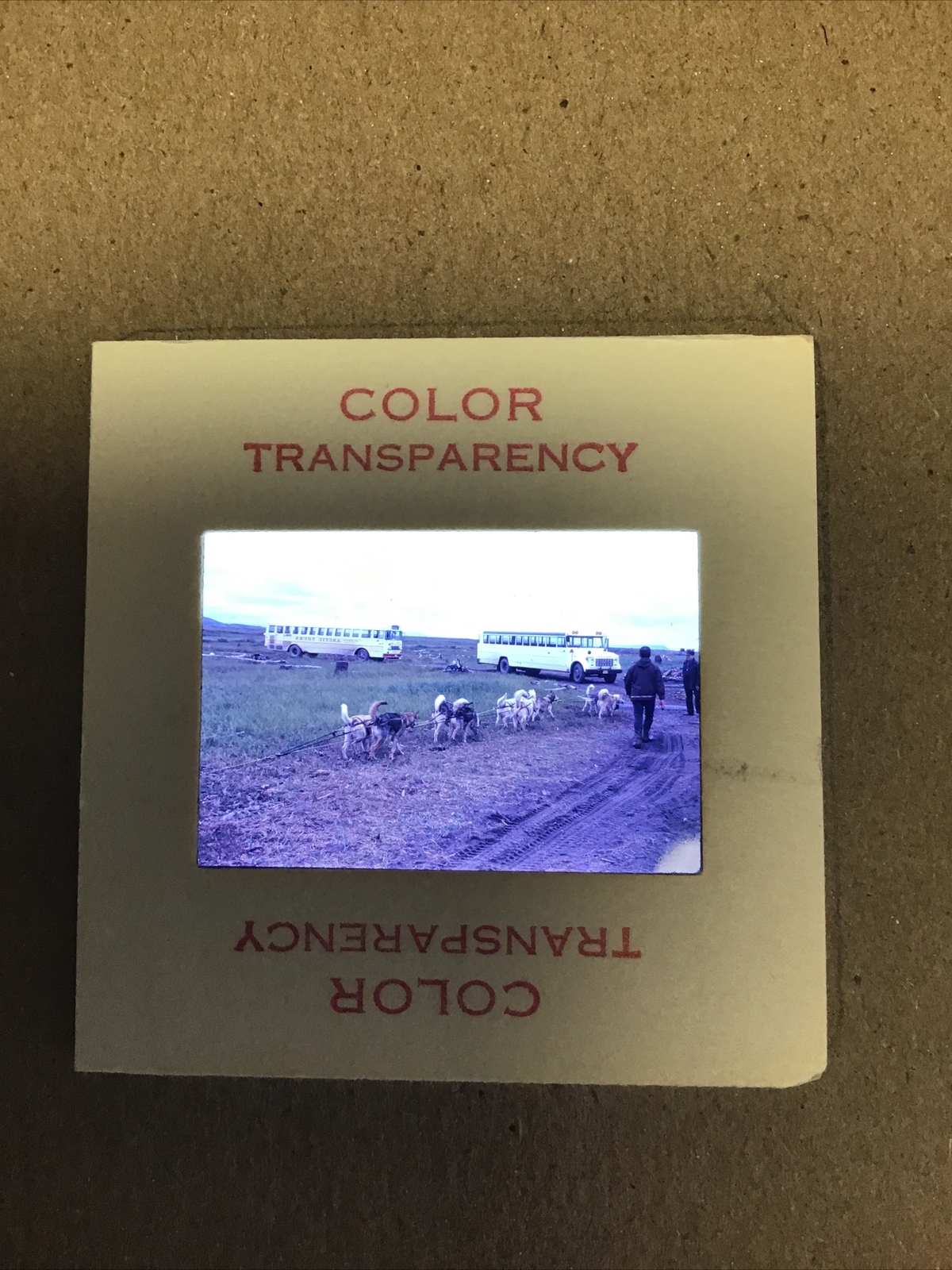 Original 35mm SLIDE - ALASKA Arctic Tours Bus Sled Dogs MM3.#2.300 | eBay