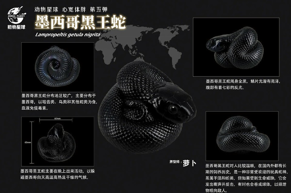Animal Planet A Series of Laugh and Grow Fat 05 Blind Box Snake ...